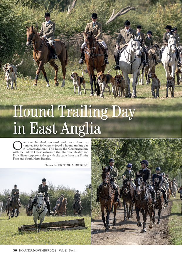 Hounds Magazine | Hounds Magazine online