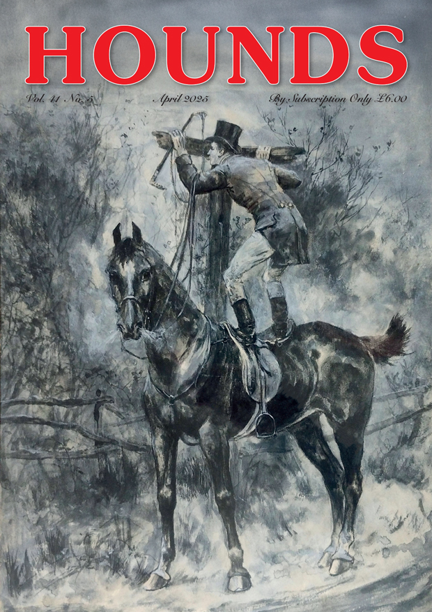 Hounds Magazine | Hounds Magazine online