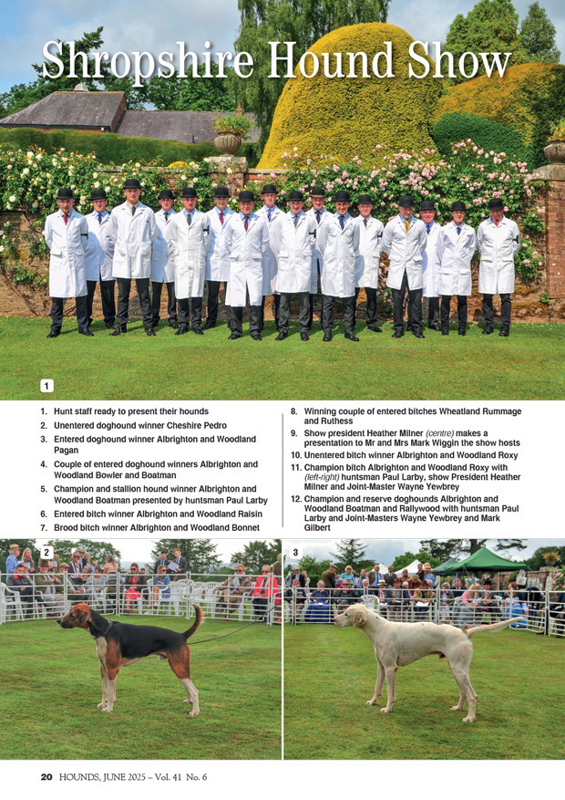 Hounds Magazine | Hounds Magazine online