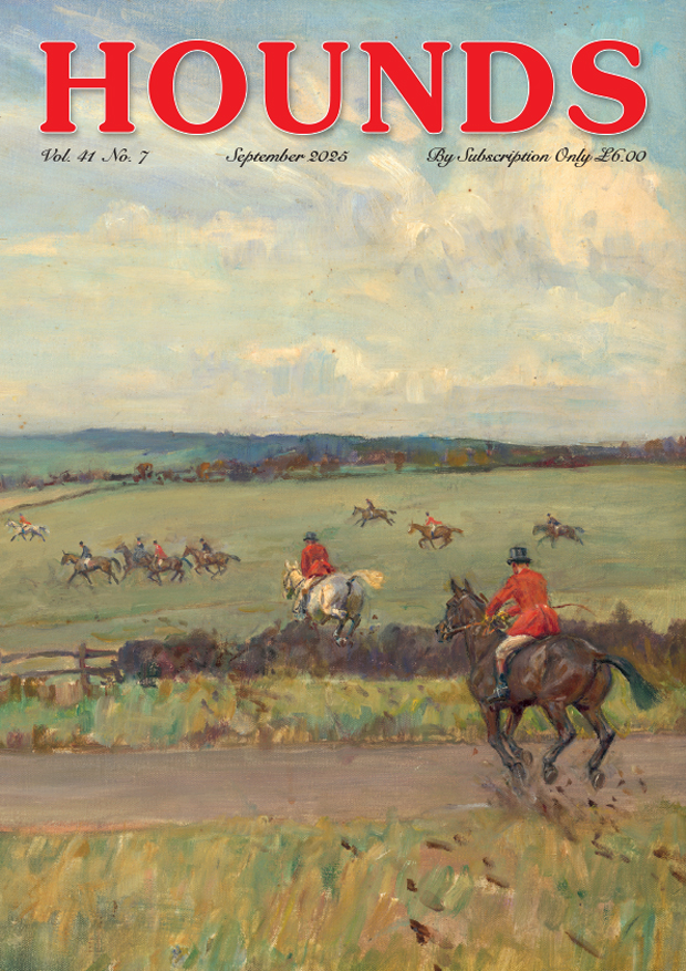 Hounds Magazine | Hounds Magazine online