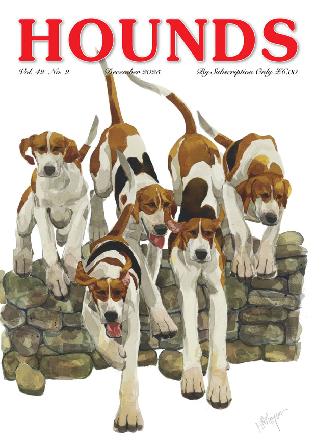Hounds Magazine | Hounds Magazine online